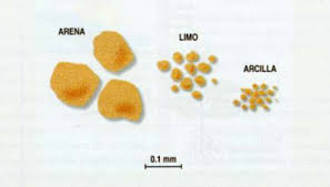 Composición del suelo y sustratos – Sólo es Ciencia