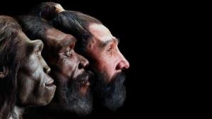 No venimos del mono: el ancestro común de los primates – Sólo es Ciencia